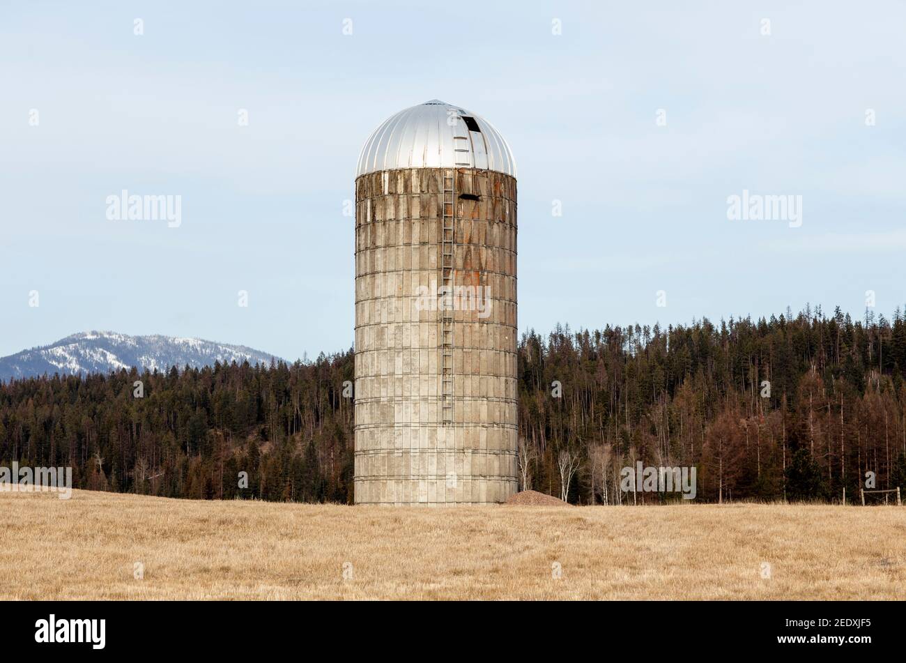 An old concrete tower silo on a farm, near Iron Creek, outside of Troy ...