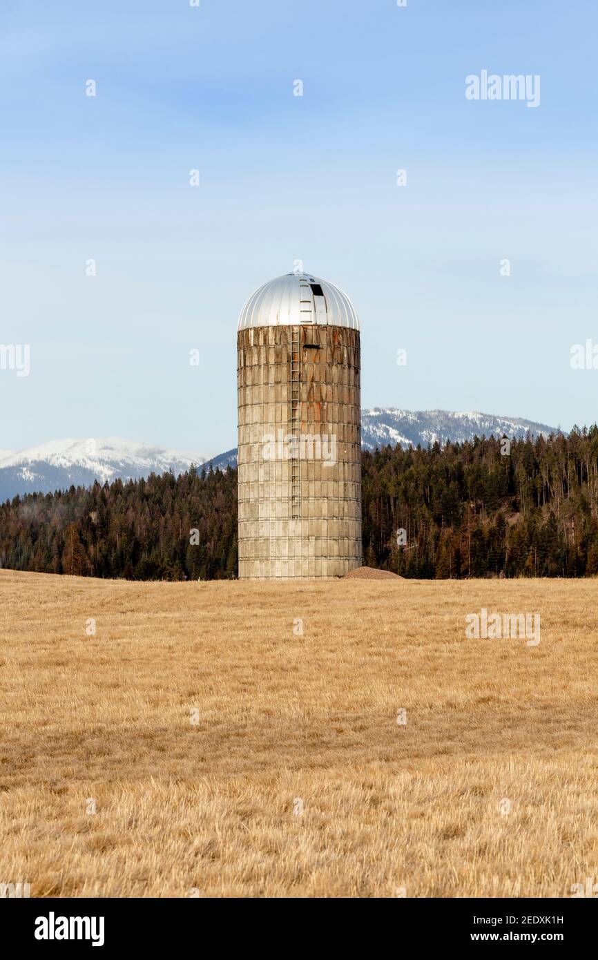 An old concrete tower silo on a farm, near Iron Creek, outside of Troy ...