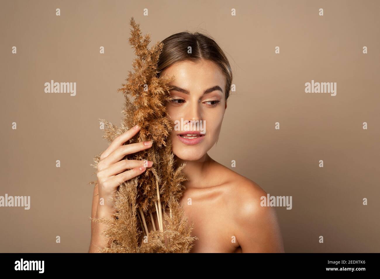 Woman Face Beauty Hair Pulled Back High Resolution Stock Photography ...