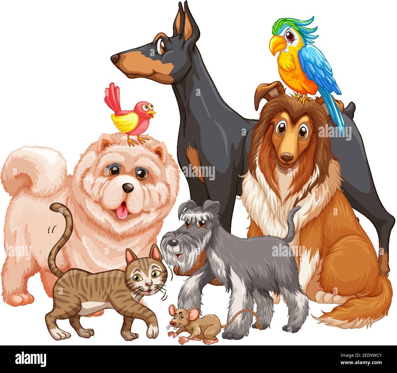 Group of pet on white background illustration Stock Vector Image & Art ...