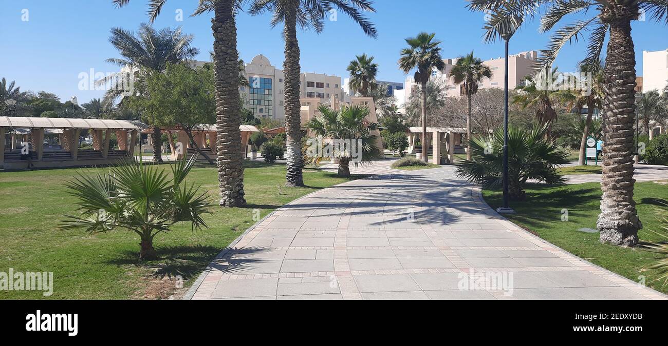 Manama, Bahrain - February 15 2021: green space with palms and other ...