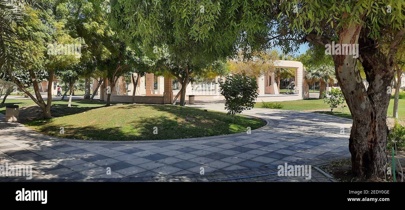 Manama, Bahrain - February 15 2021: green space with palms and other ...