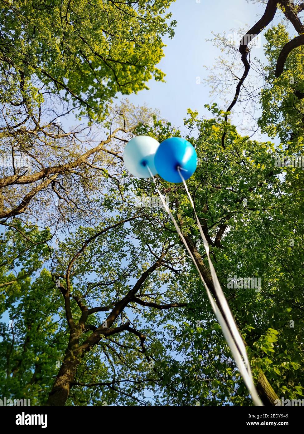 Low angle shot of helium balloons in the park on the background of ...