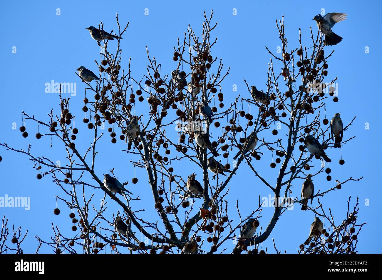 Lat 47 46647633 hi-res stock photography and images - Alamy