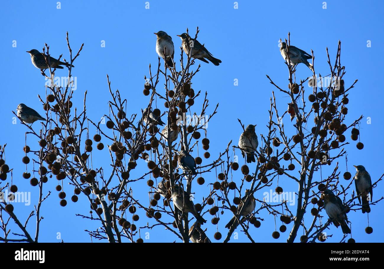 Lat 47 46647633 hi-res stock photography and images - Alamy