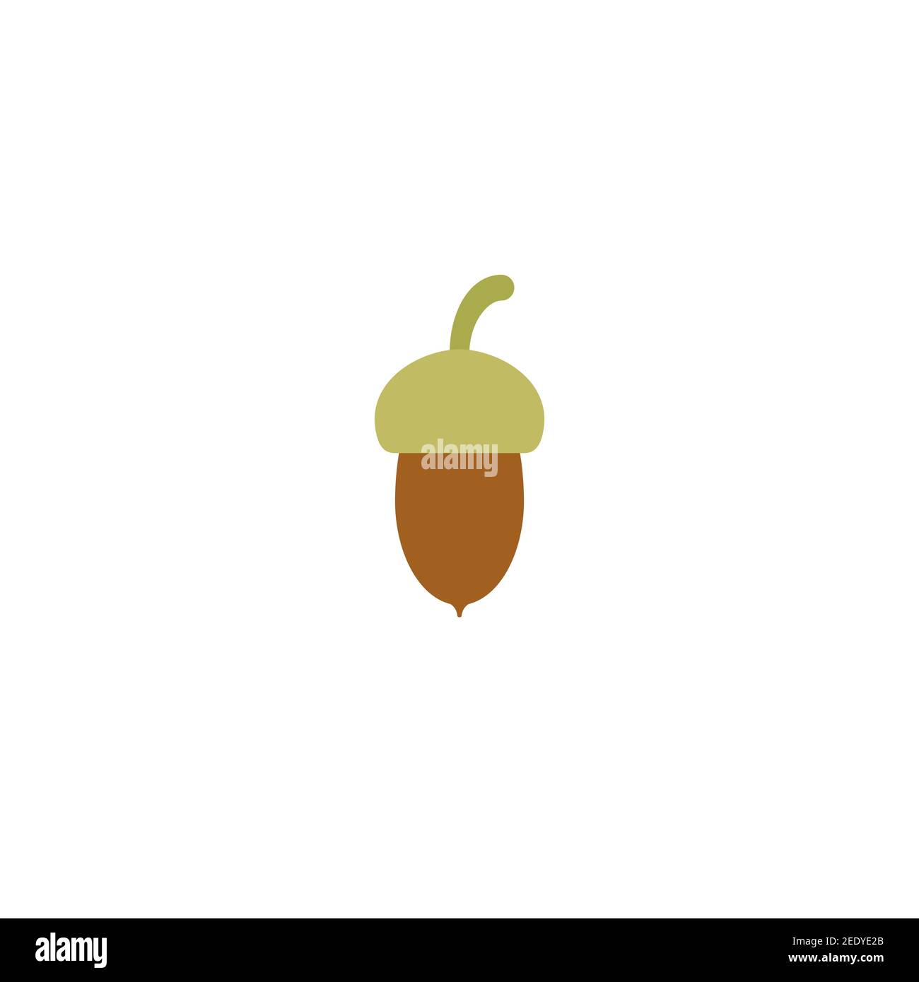 acorn icon isolated on white. Nature oak symbol. Flat vector ...