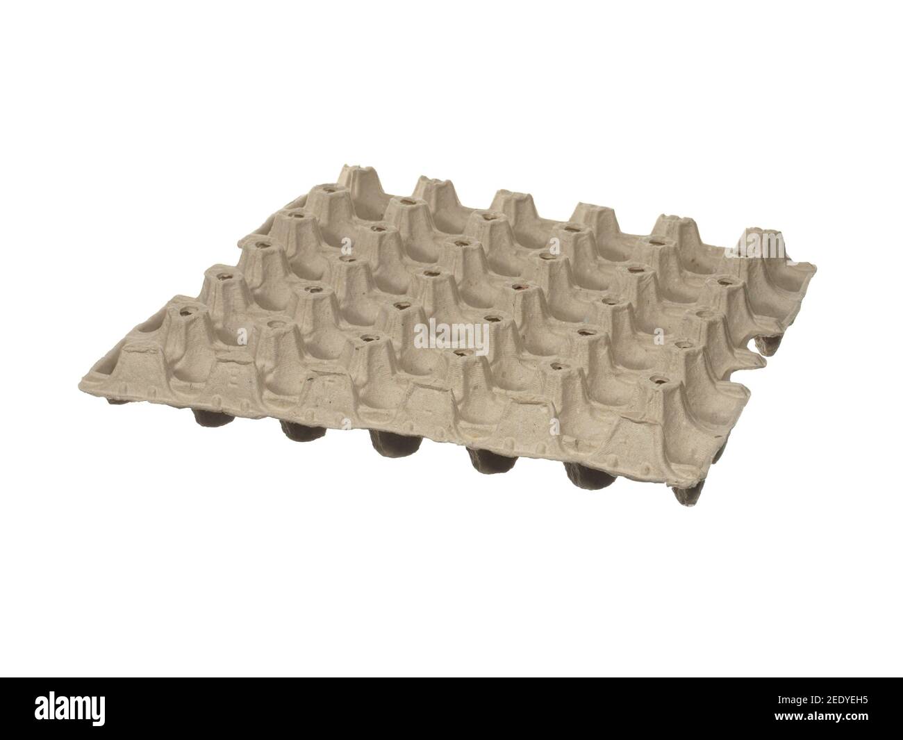 Empty egg box isolated on white background Stock Photo - Alamy