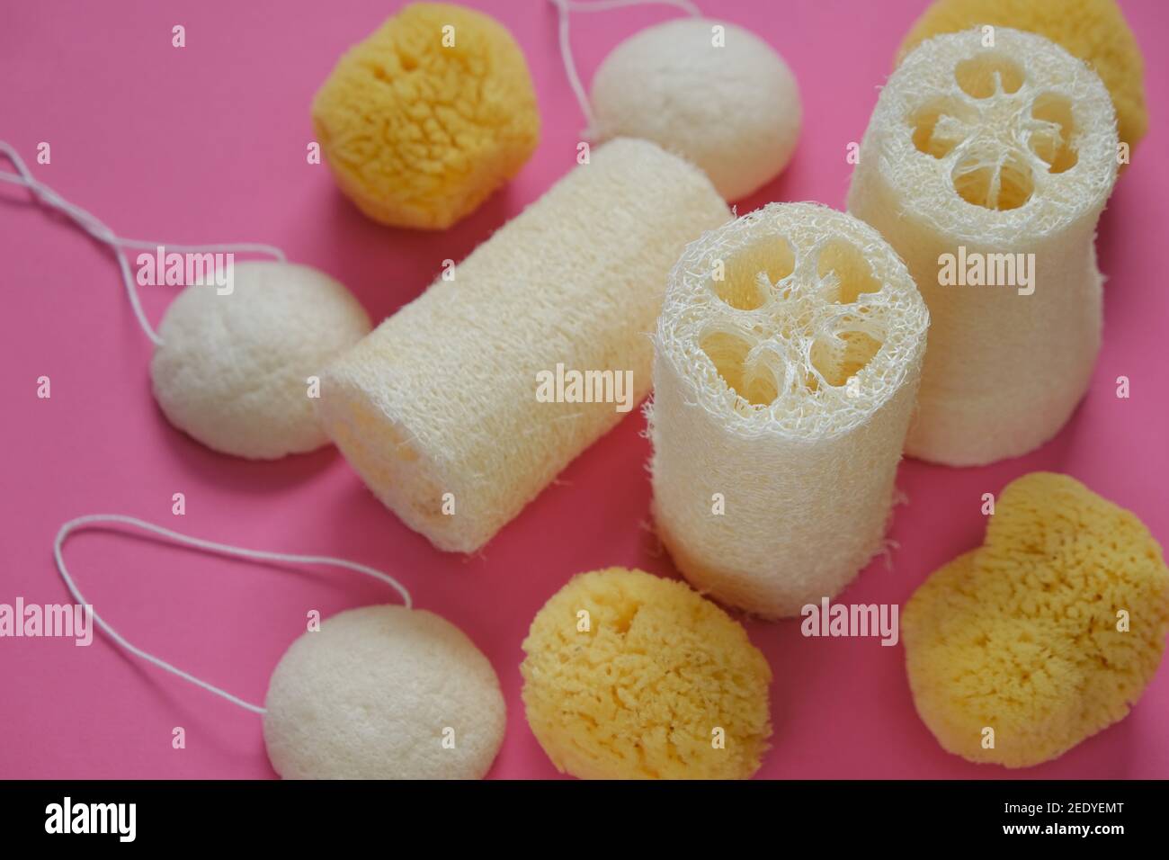 Zero waste . Natural organic hygiene products. loofah sponge and spongy ...