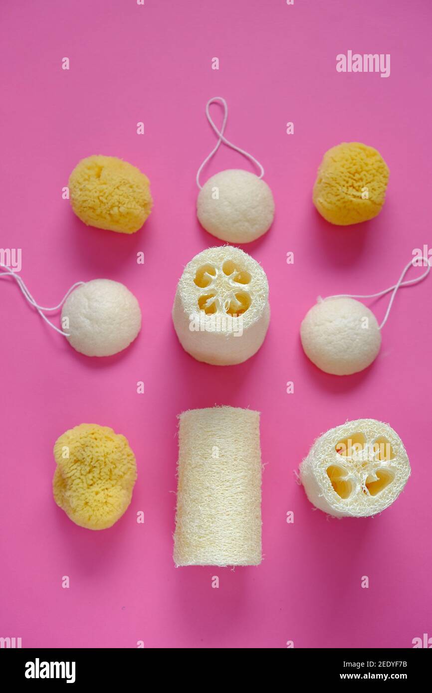 Pink loofah hi-res stock photography and images - Alamy