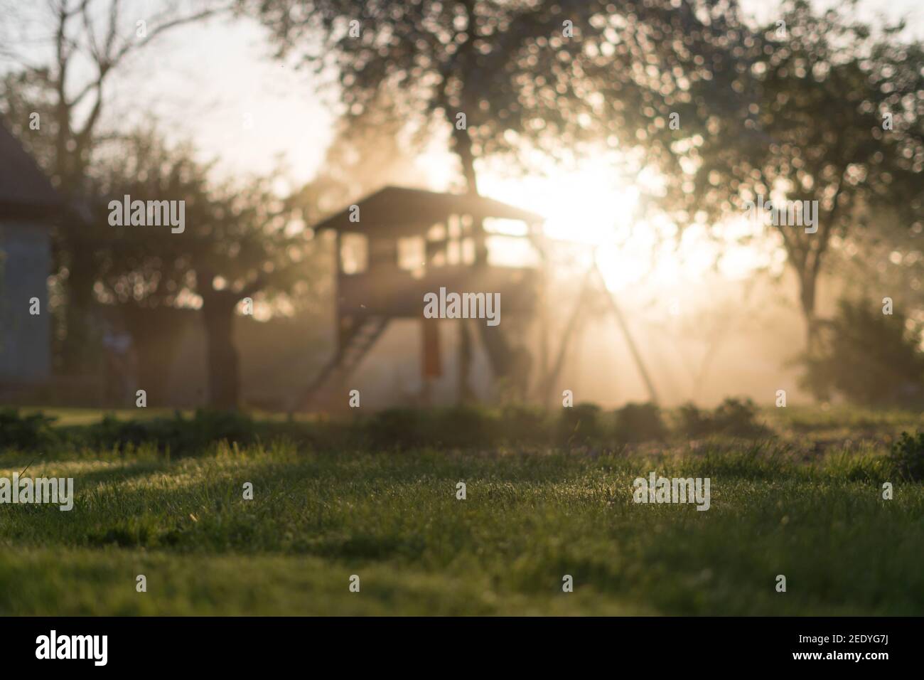 Sun backdrop hi-res stock photography and images - Alamy