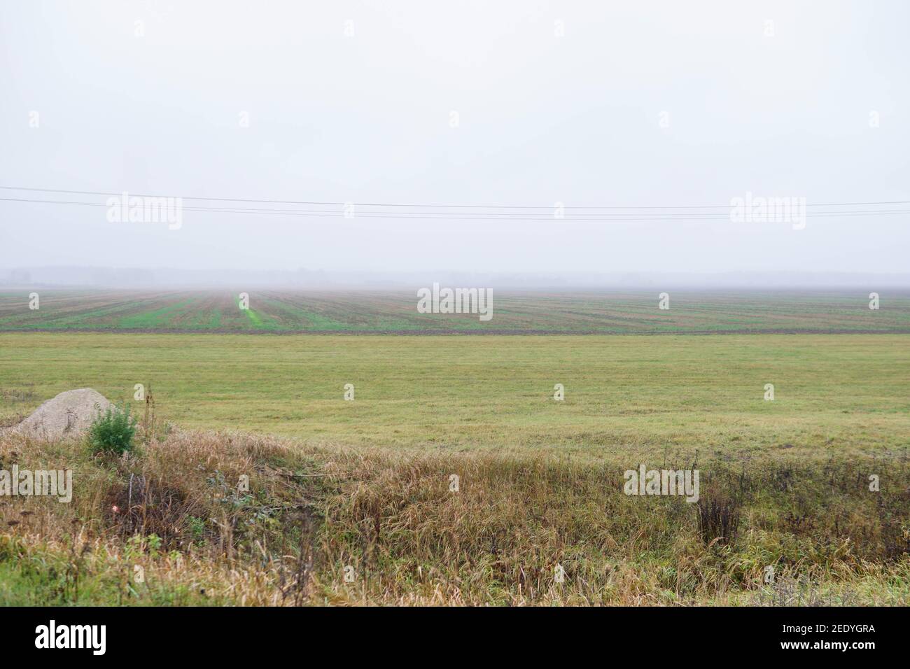 Empty meadow hi-res stock photography and images - Alamy