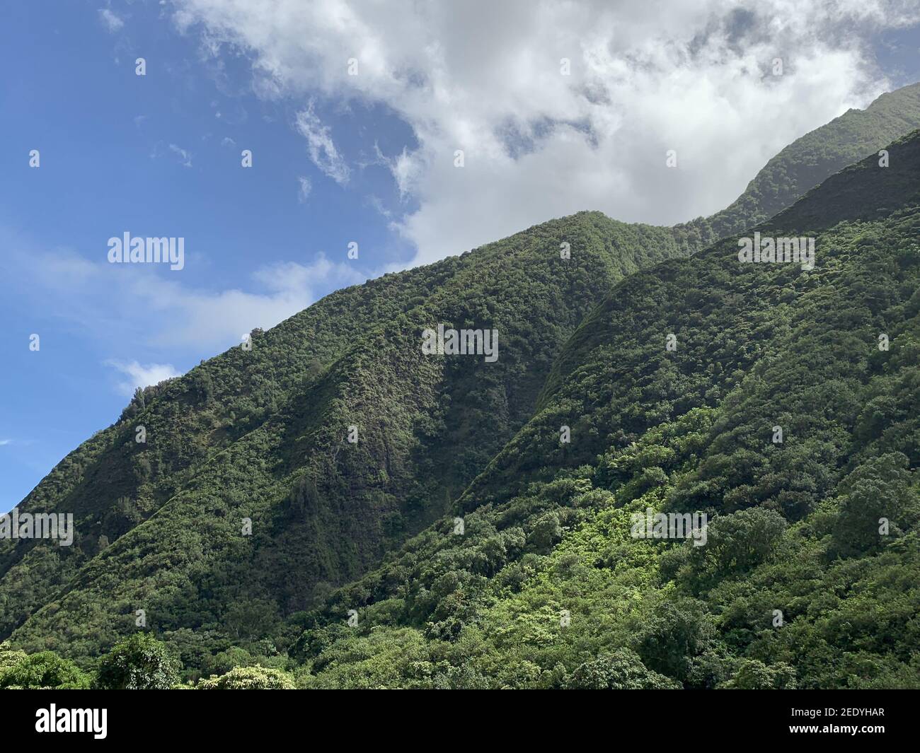 Beautiful scenery of a Green mountain on the Hawaiian Island of Maui ...