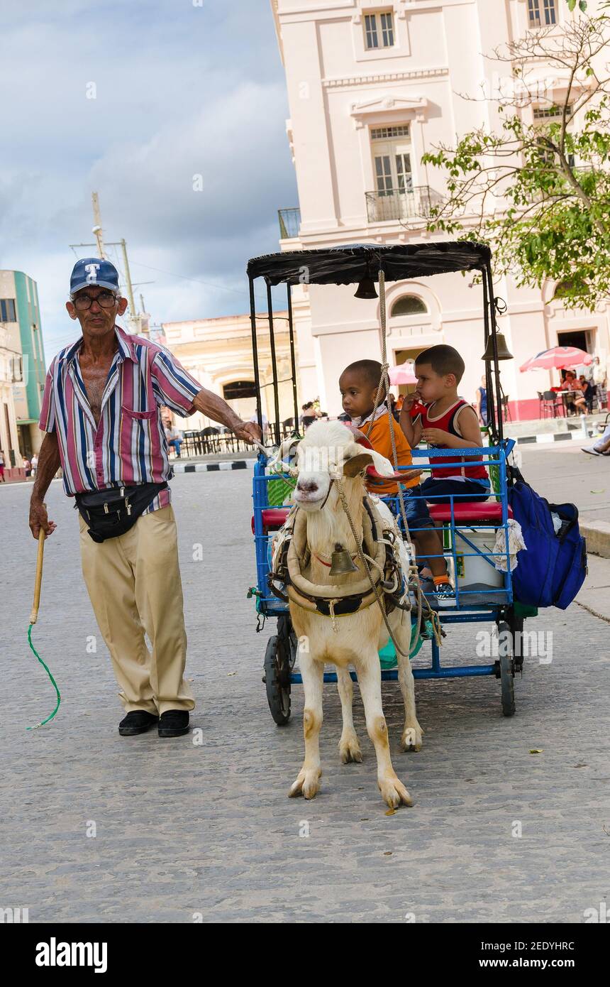 Goat-drawn cart in Santa Clara, Cuba Stock Photo - Alamy