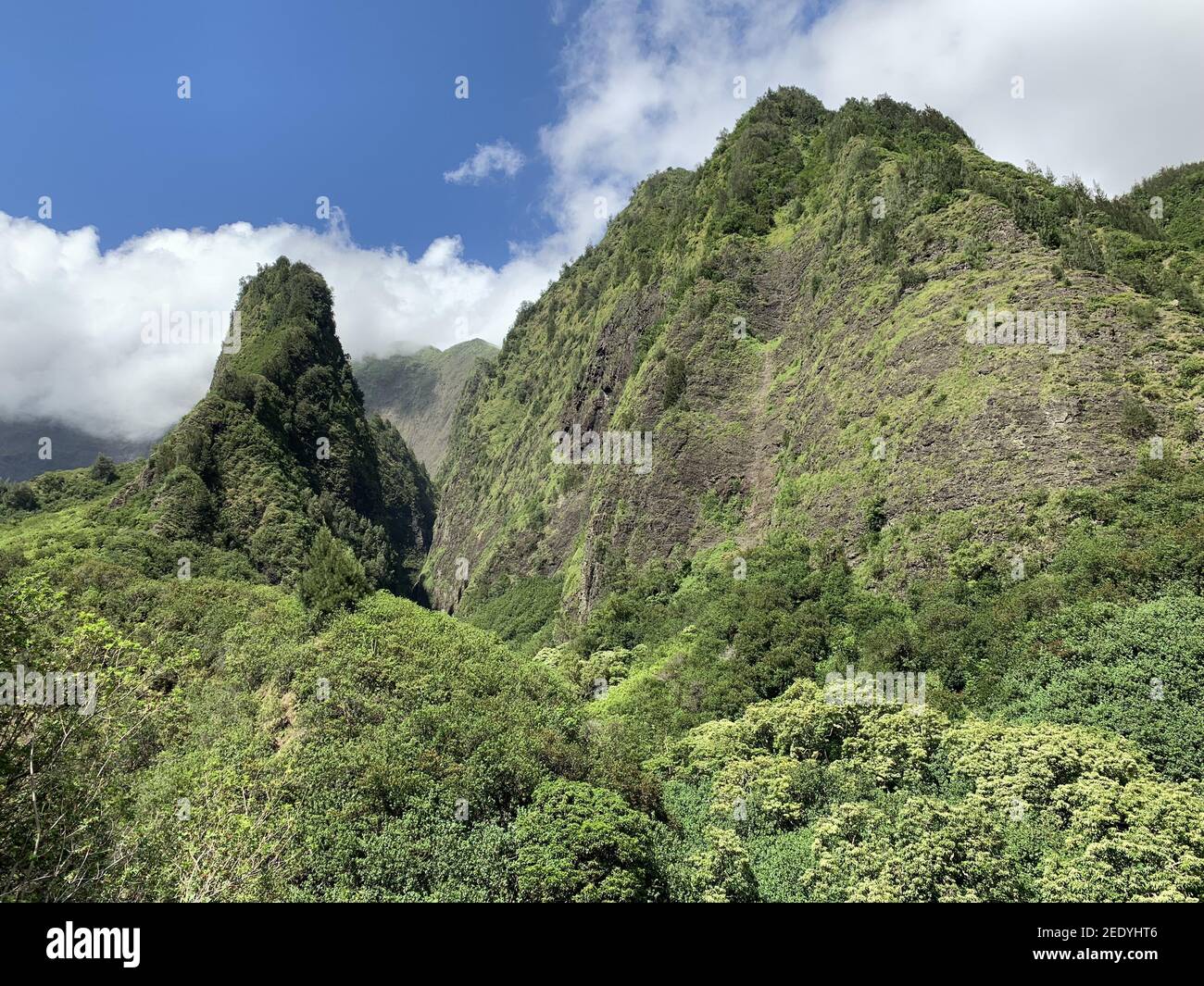 Beautiful scenery of a green mountain landscape on the Hawaiian Island ...