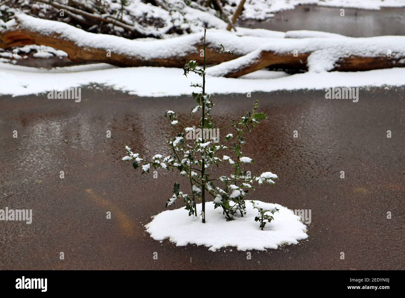 Mini island hi-res stock photography and images - Alamy