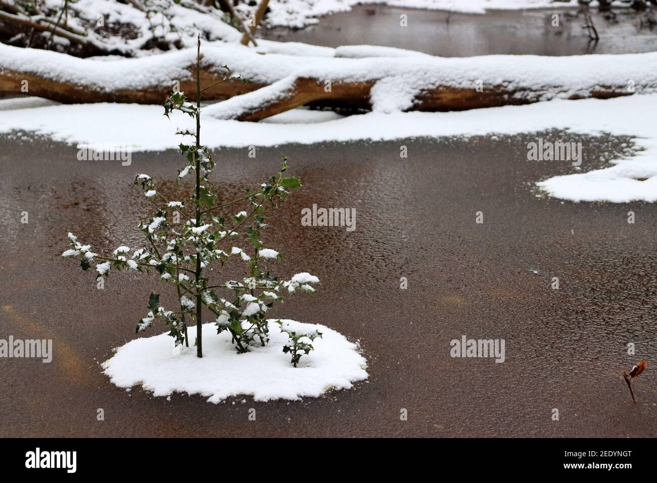 Mini island hi-res stock photography and images - Alamy