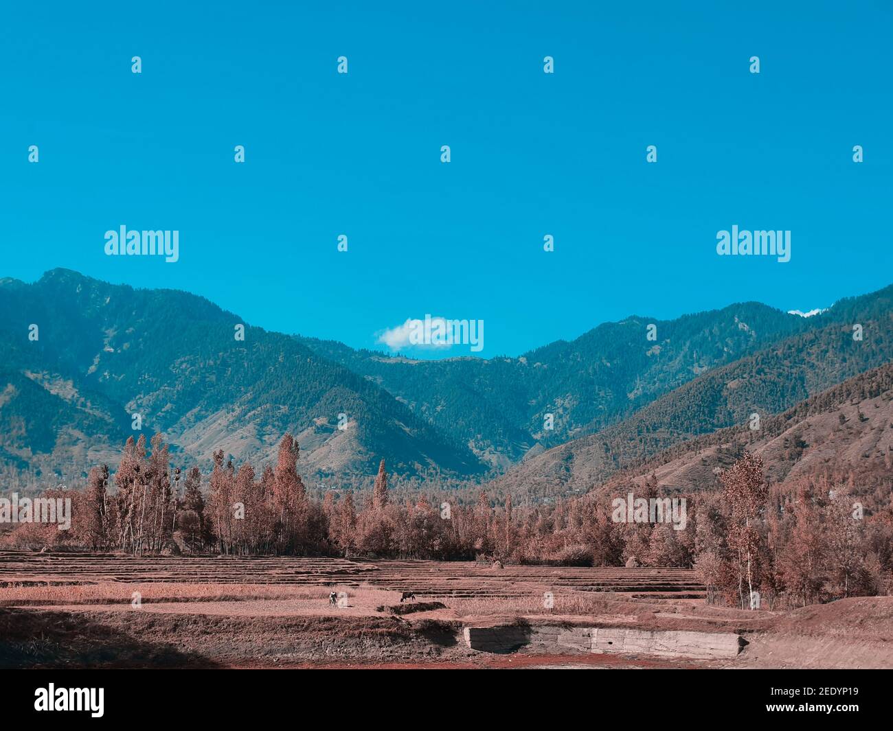 Mesmerizing view of the landscape with huge beautiful hills and long ...