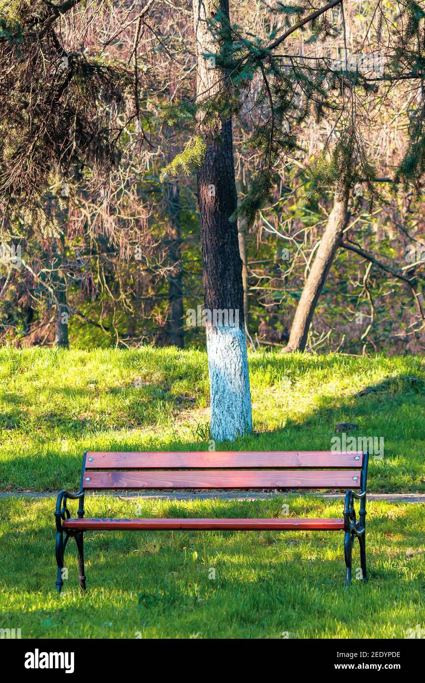 city park in early spring. bench on the grassy lawn in the shadow of ...