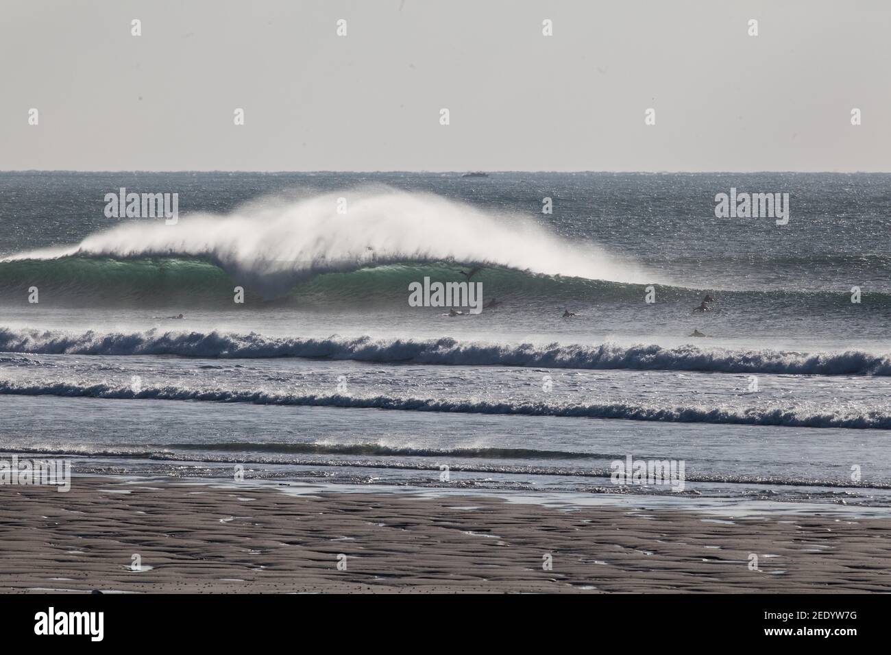 Beautiful clean peak breaks on the beach with surfers winter 2021 Stock ...