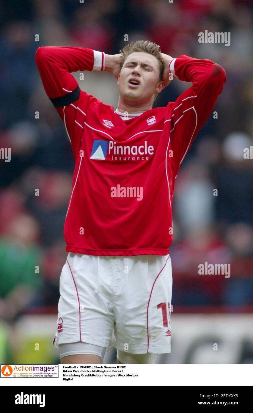 Adam proudlock forest hi-res stock photography and images - Alamy