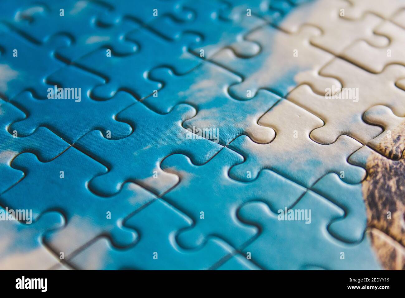 Completed puzzle hi-res stock photography and images - Alamy