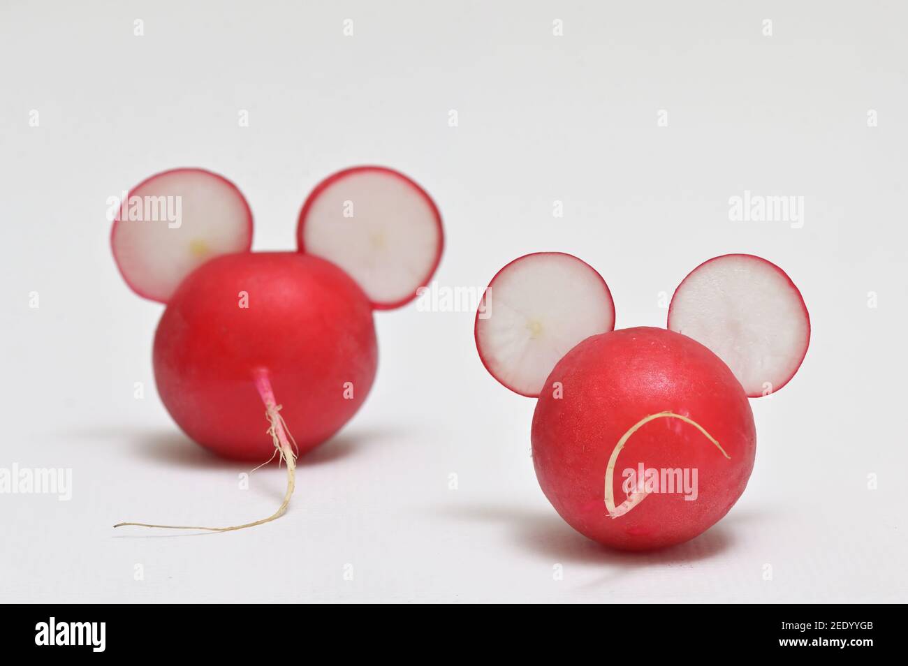 Creative Vegetable Little Mice From Radish Stock Photo - Alamy