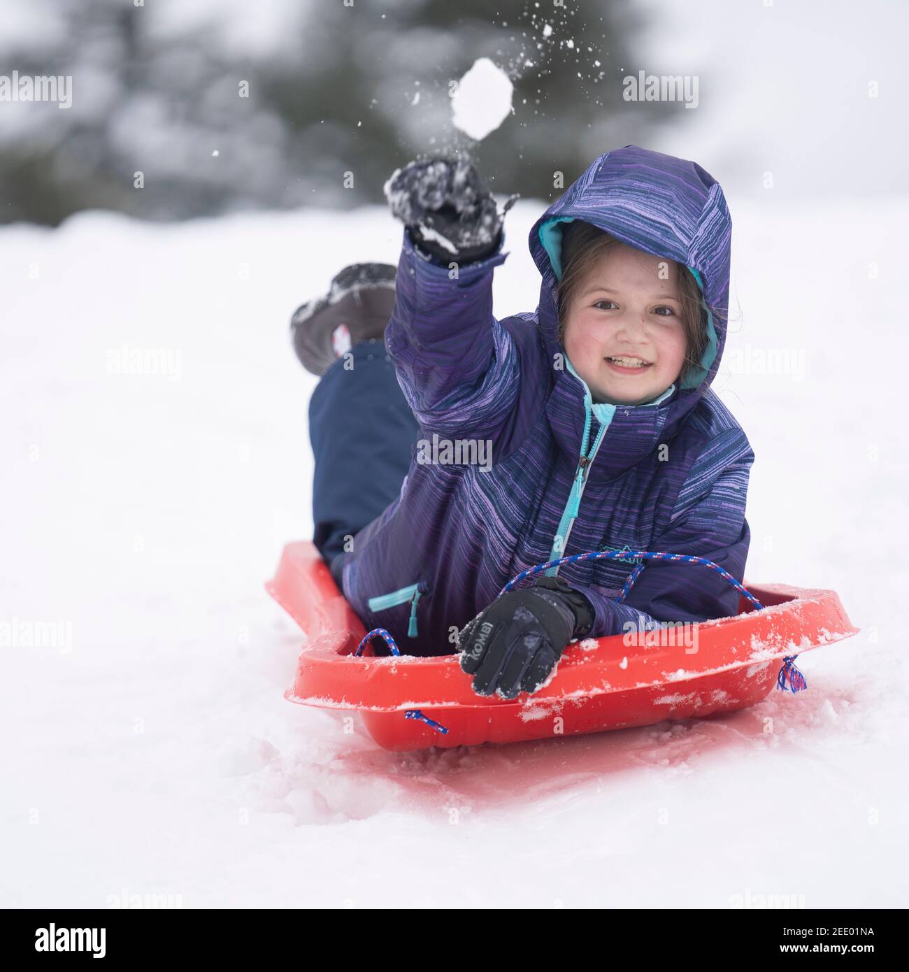 Girl sledding on a snow day Stock Photo - Alamy