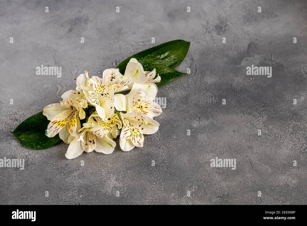 A bouquet of wild orchids on a light background decorated with ribbons ...
