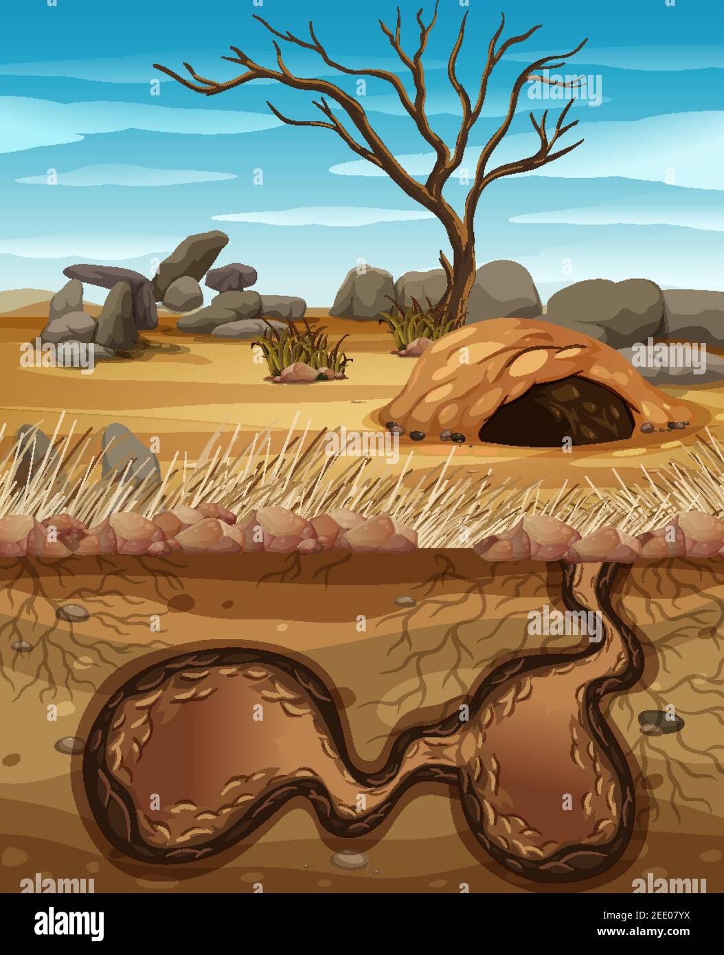 Empty underground animal hole illustration Stock Vector Image & Art - Alamy