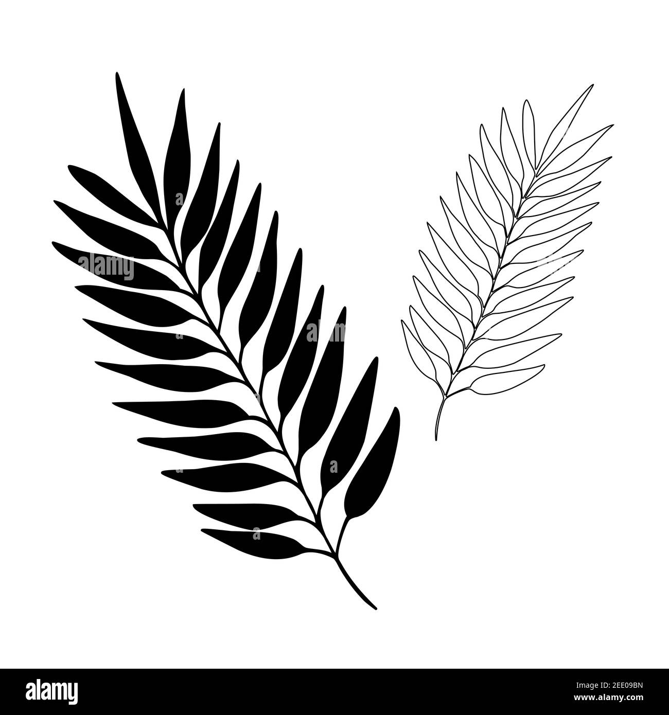 Linear plant sprigs hi-res stock photography and images - Alamy