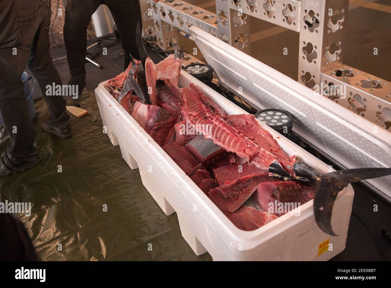 Japanese tuna dismantling show held at Hakata Station Stock Photo - Alamy