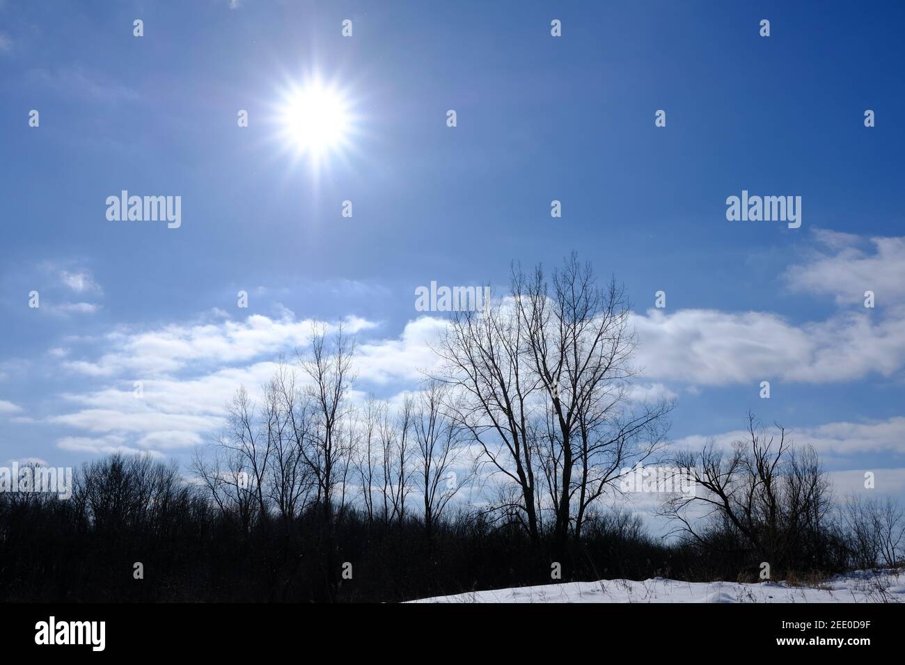 Weakly hi-res stock photography and images - Alamy
