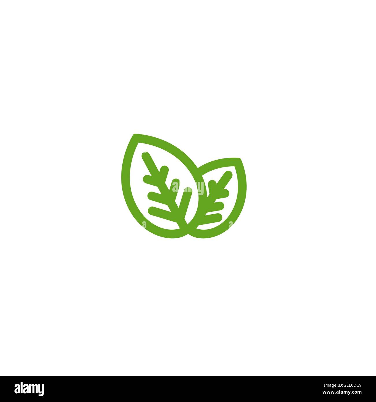 Two leaves eco icon. isolated on white. Vector illustration. Green flat ...
