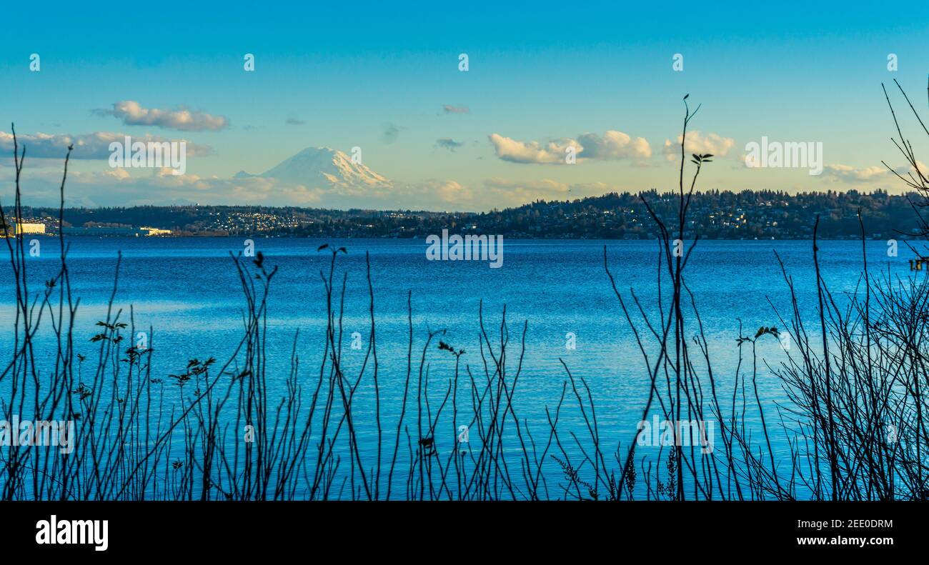 A landscape shot of Mount Rainier from Seward Park in Seattle ...