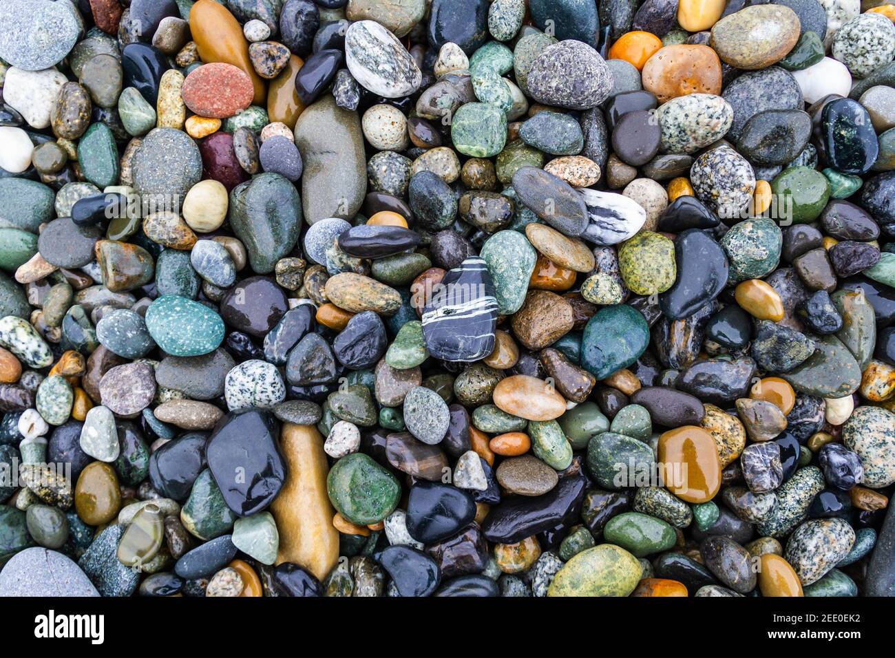 Colorful smooth rocks on the beach covered in water Stock Photo - Alamy