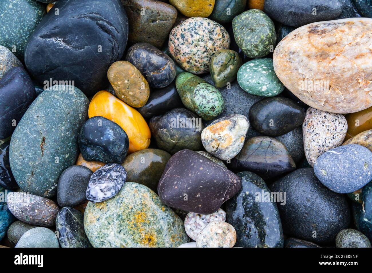 Colorful smooth rocks on the beach covered in water Stock Photo - Alamy