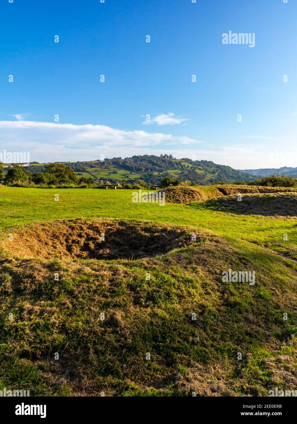 Baileys tump matlock hi-res stock photography and images - Alamy