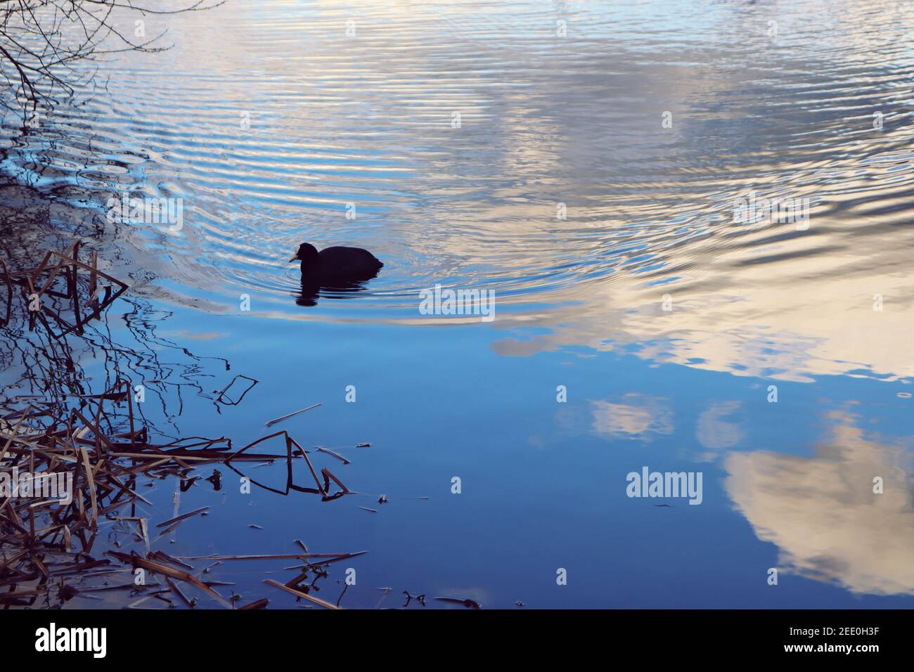 Water ripples scenic hi-res stock photography and images - Alamy