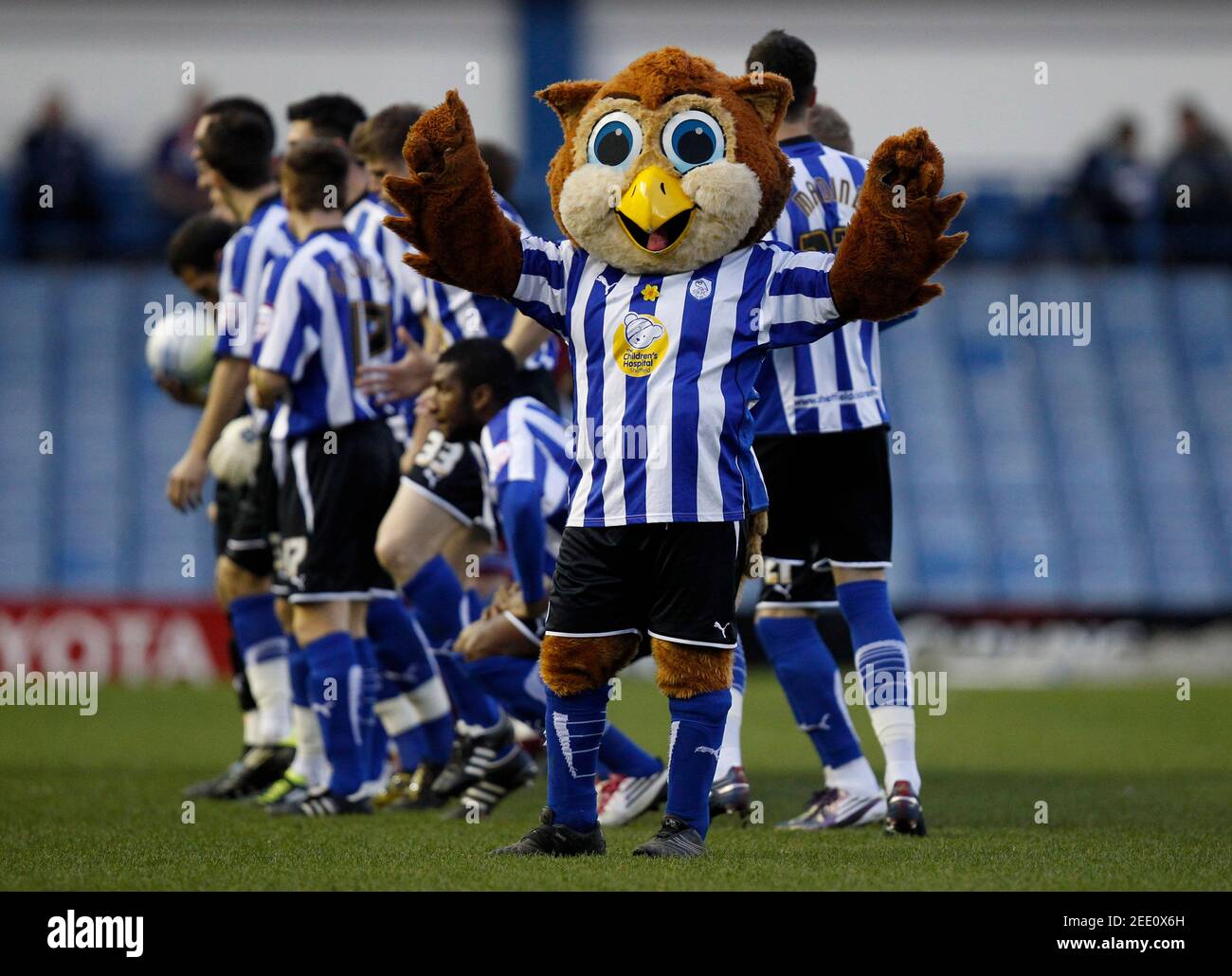 Sheffield wednesday mascot hi-res stock photography and images - Alamy
