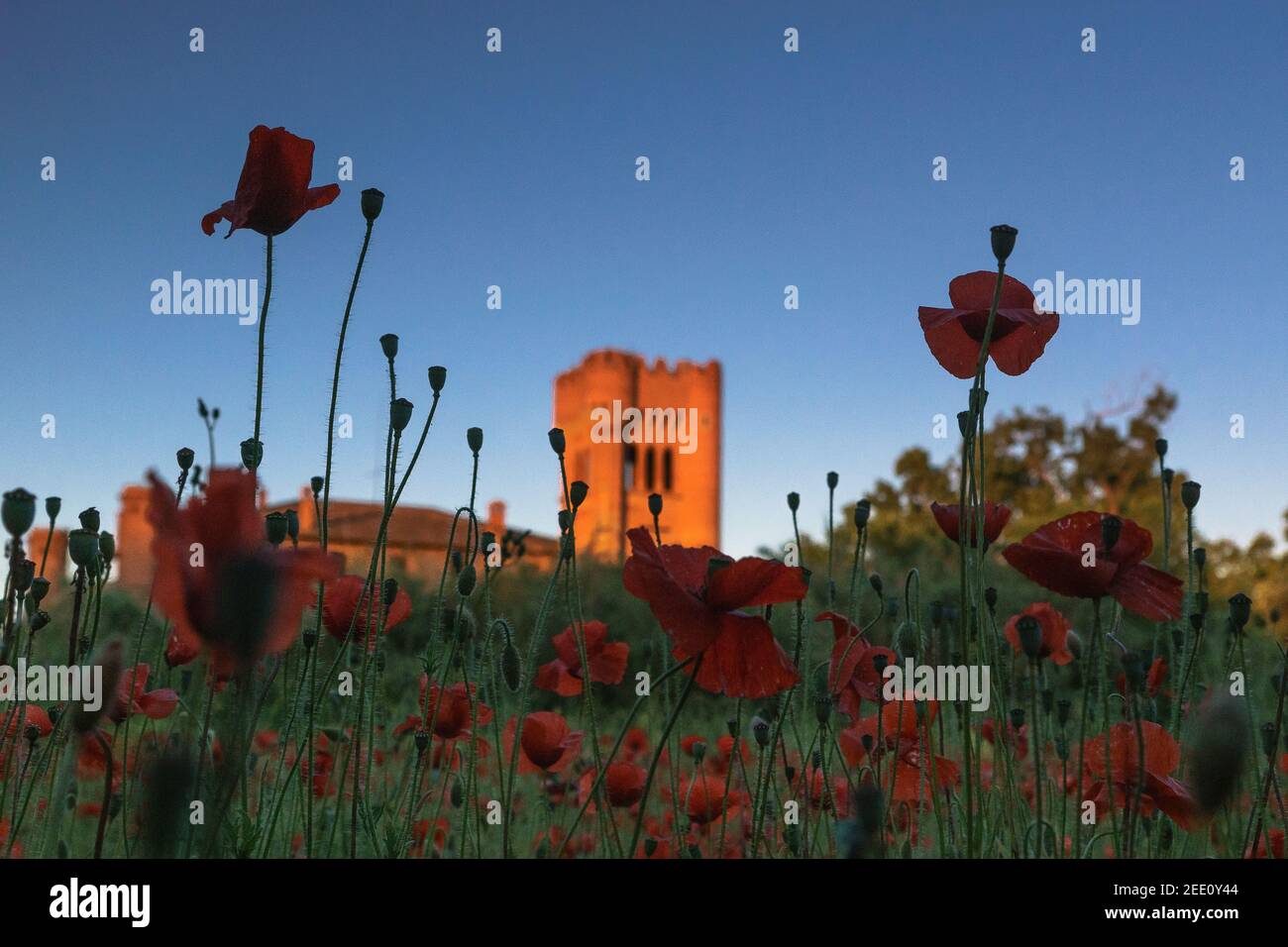 Open fiels hi-res stock photography and images - Alamy