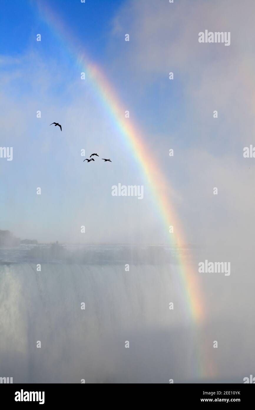 Rainbow at Horseshoe Niagara Falls, Ontario, Canada Stock Photo - Alamy