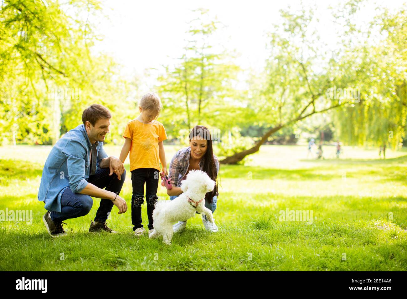 Beautiful happy family is having fun with bichon dog outdoors in the ...