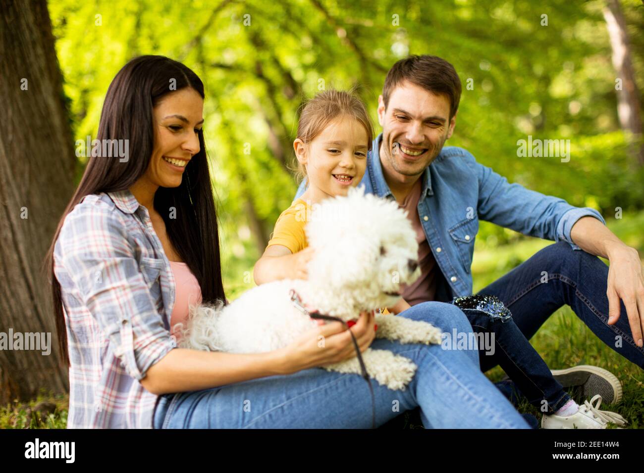 Beautiful happy family is having fun with bichon dog outdoors in the ...