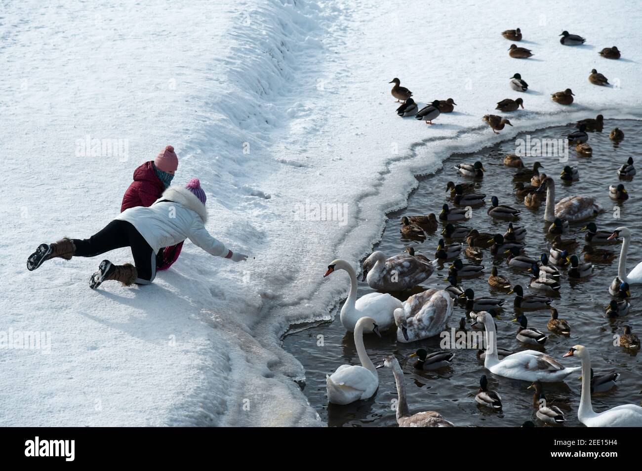 People feed birds hi-res stock photography and images - Alamy