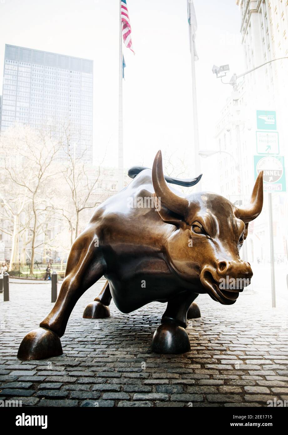 Wall street bull, Manhattan, New York City, United states Stock Photo ...