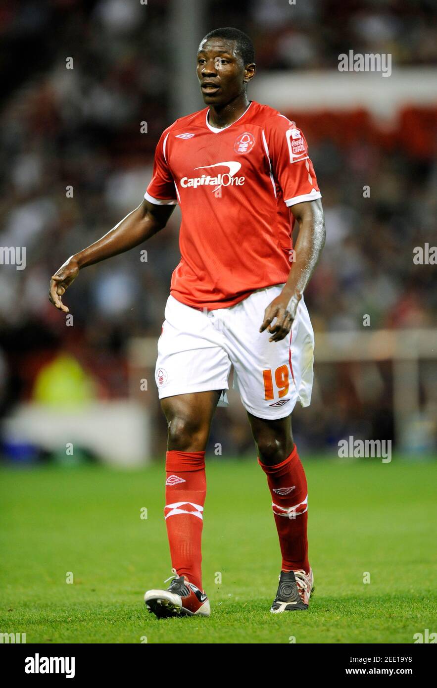 Guy moussi forest hi-res stock photography and images - Alamy