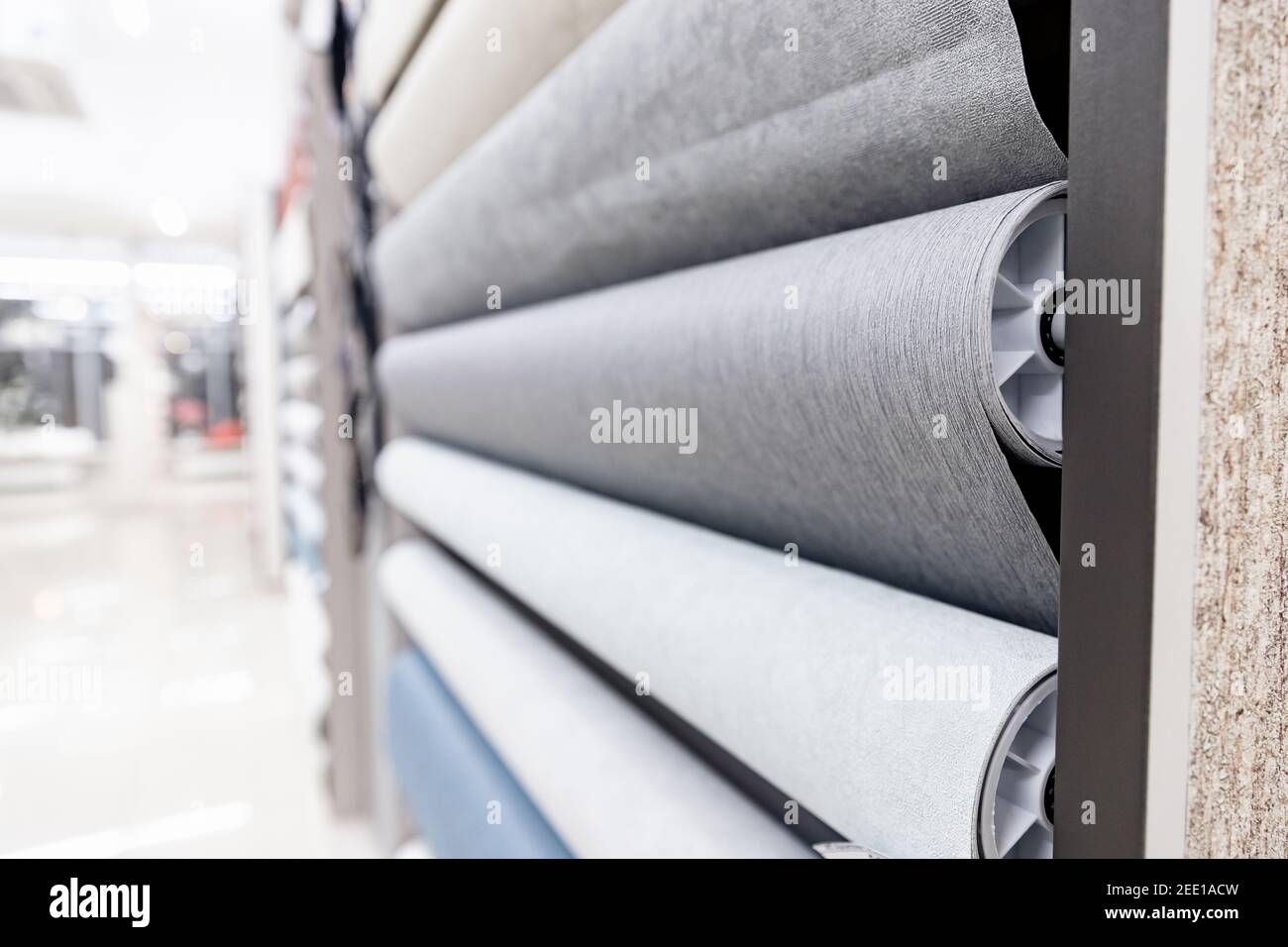 Samples of different colorful rolls of wallpaper in shop, choice in row ...