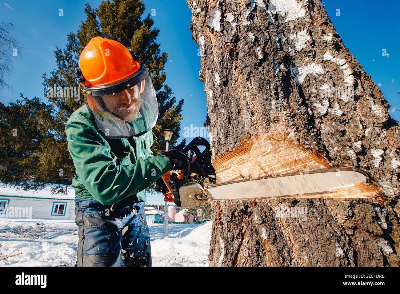 Professional lumberjack hi-res stock photography and images - Alamy