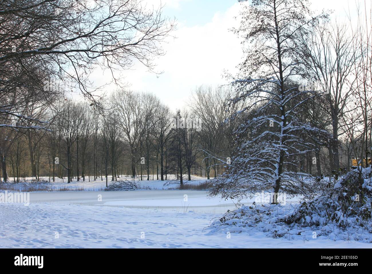 Winter in Citypark Staddijk Stock Photo - Alamy