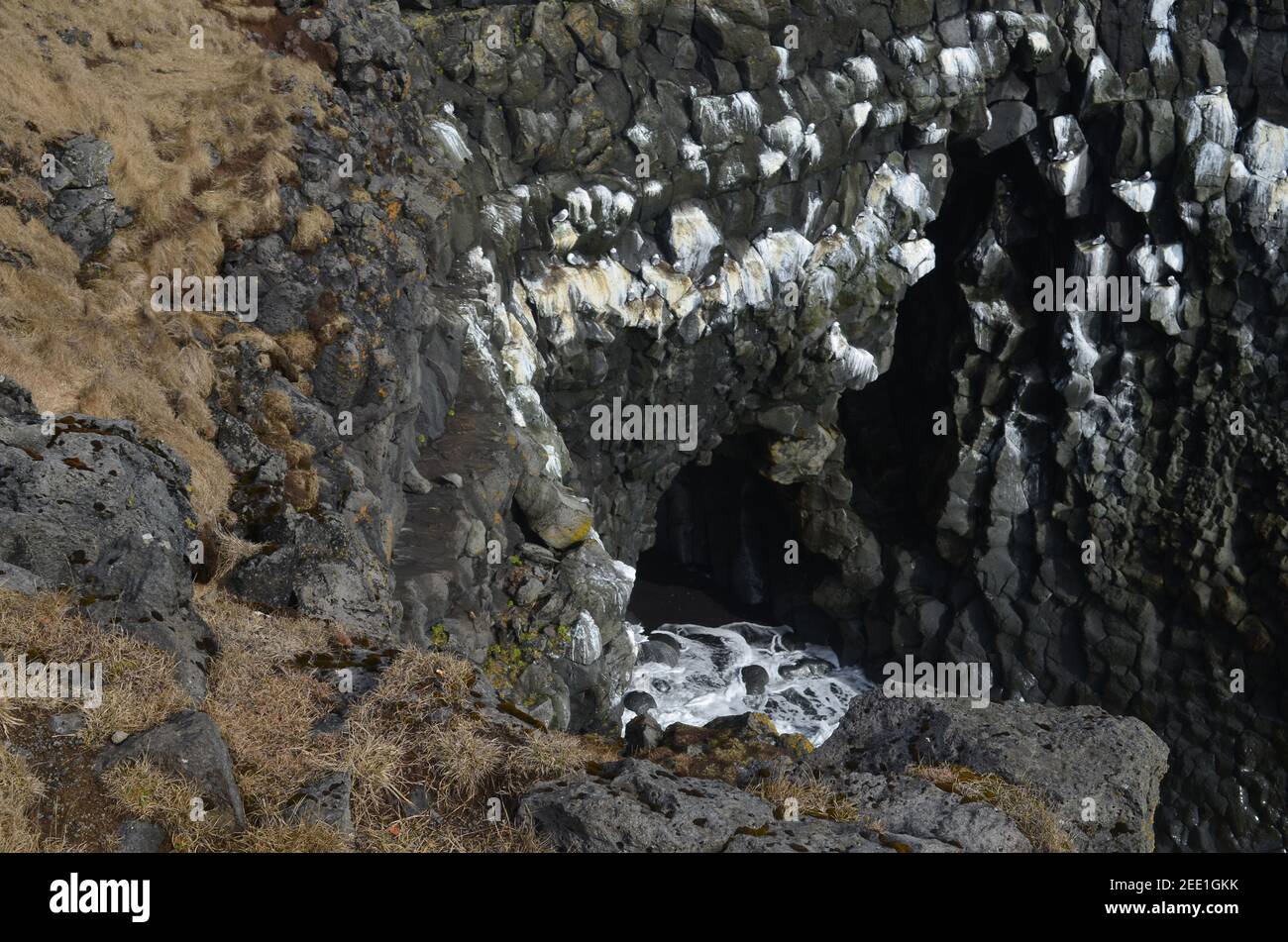 Icelandic basalt column rocks along a cavern in and the coast Stock ...